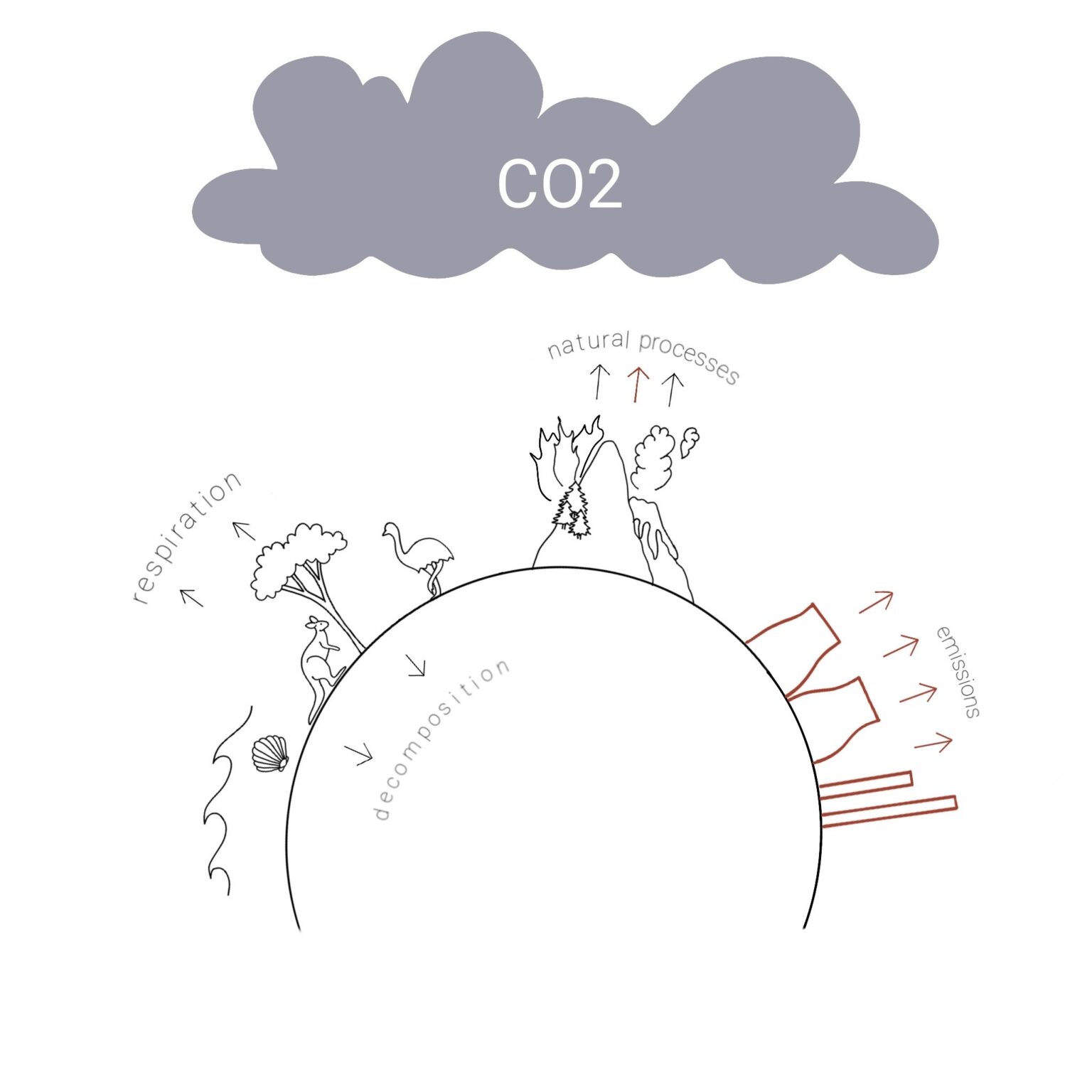 The Carbon Cycle | Regenerate Australia