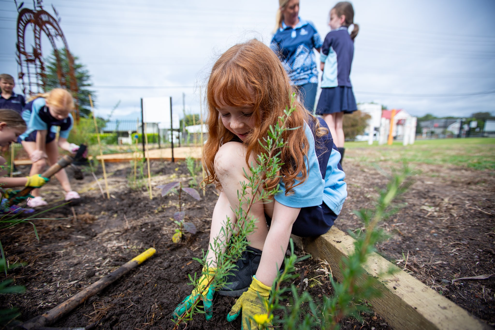 Tiny Forests: The Perfect Green Solution For Small Urban Areas ...