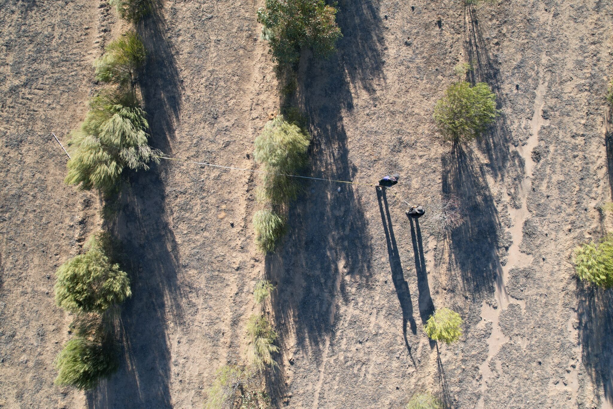 Bencubbin, WA | Regenerate Australia