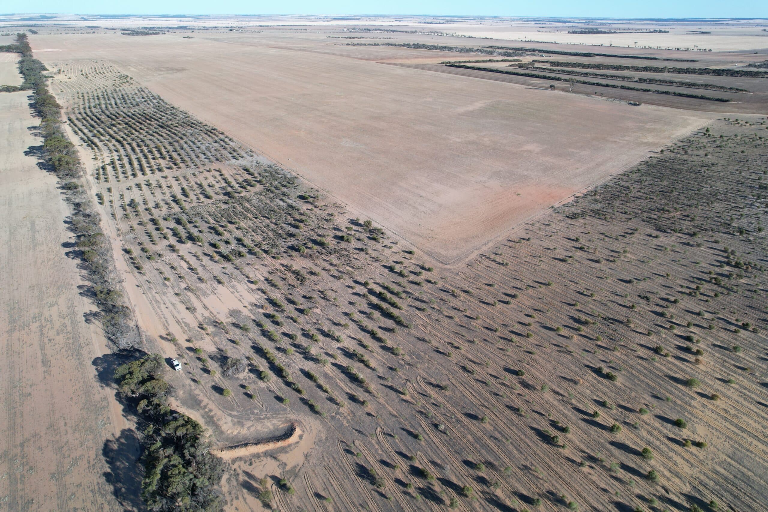 Bencubbin, WA | Regenerate Australia